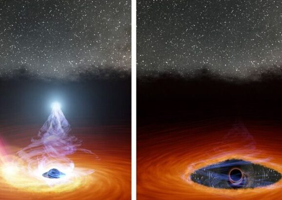 Erin Kara » MIT Physics