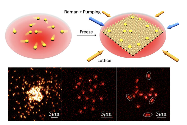 MIT physicists snap the first images of “free-range” atoms » MIT Physics